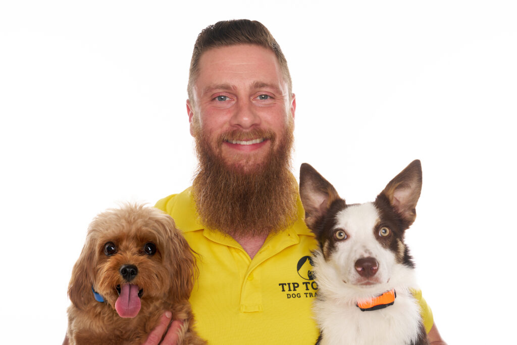 Dog Training | About Tip Top K9 | Dog Training Tulsa