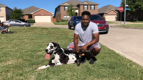 Fort Worth Dog Training - Tip Top K9