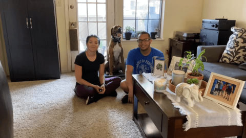 Tip Top K9 - Oklahoma City | OKC Dog Training | Dog Training OKC