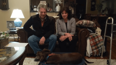 Gilbert, AZ Dog Training | Tip Top K9