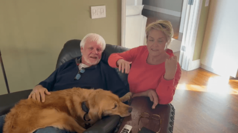 Nampa Dog Training - Tip Top K9