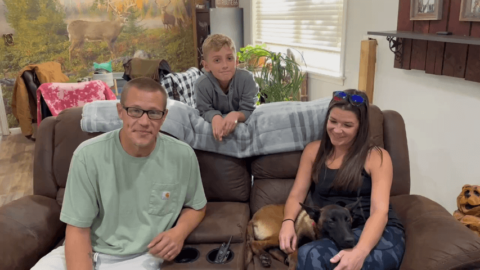 Nampa Dog Training - Tip Top K9