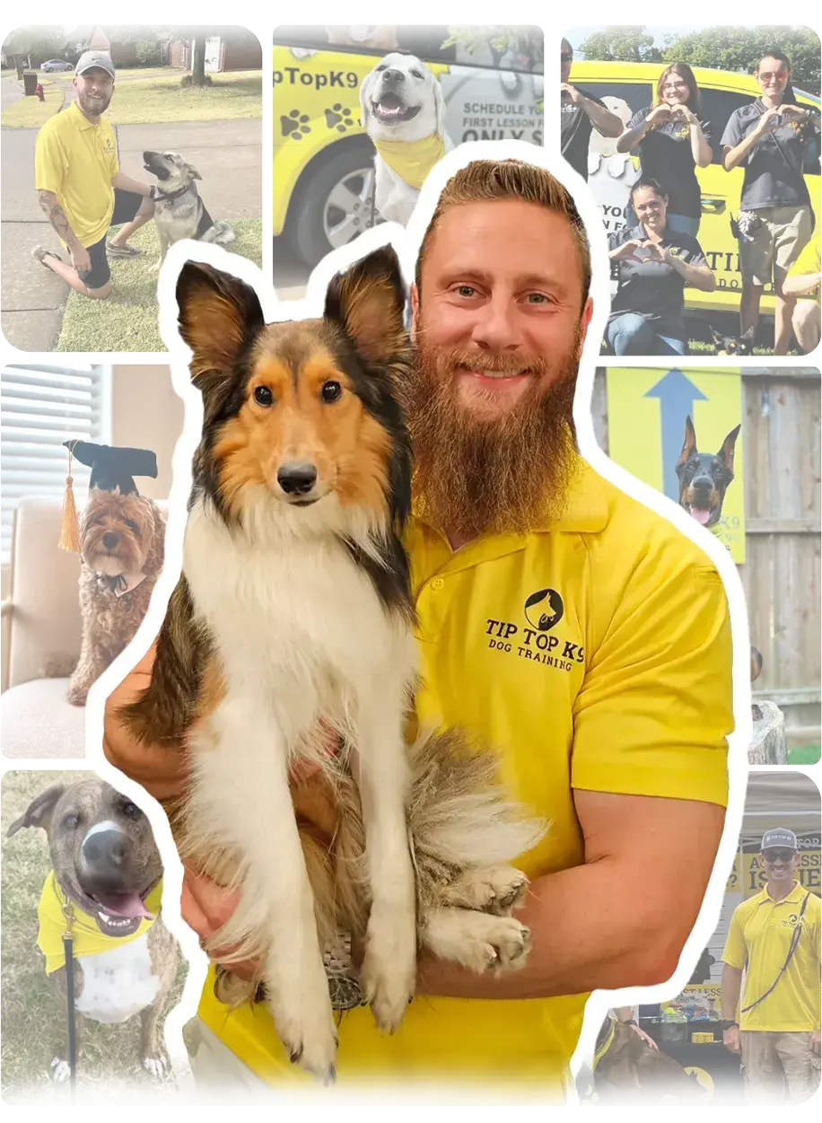 Tip Top K9 | Dog Training | Board and Training Program